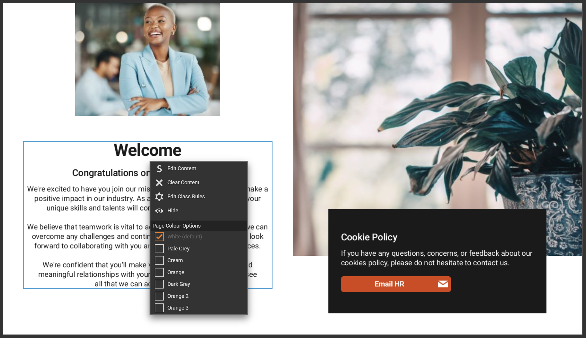 Fully Editable vs Layout Library
